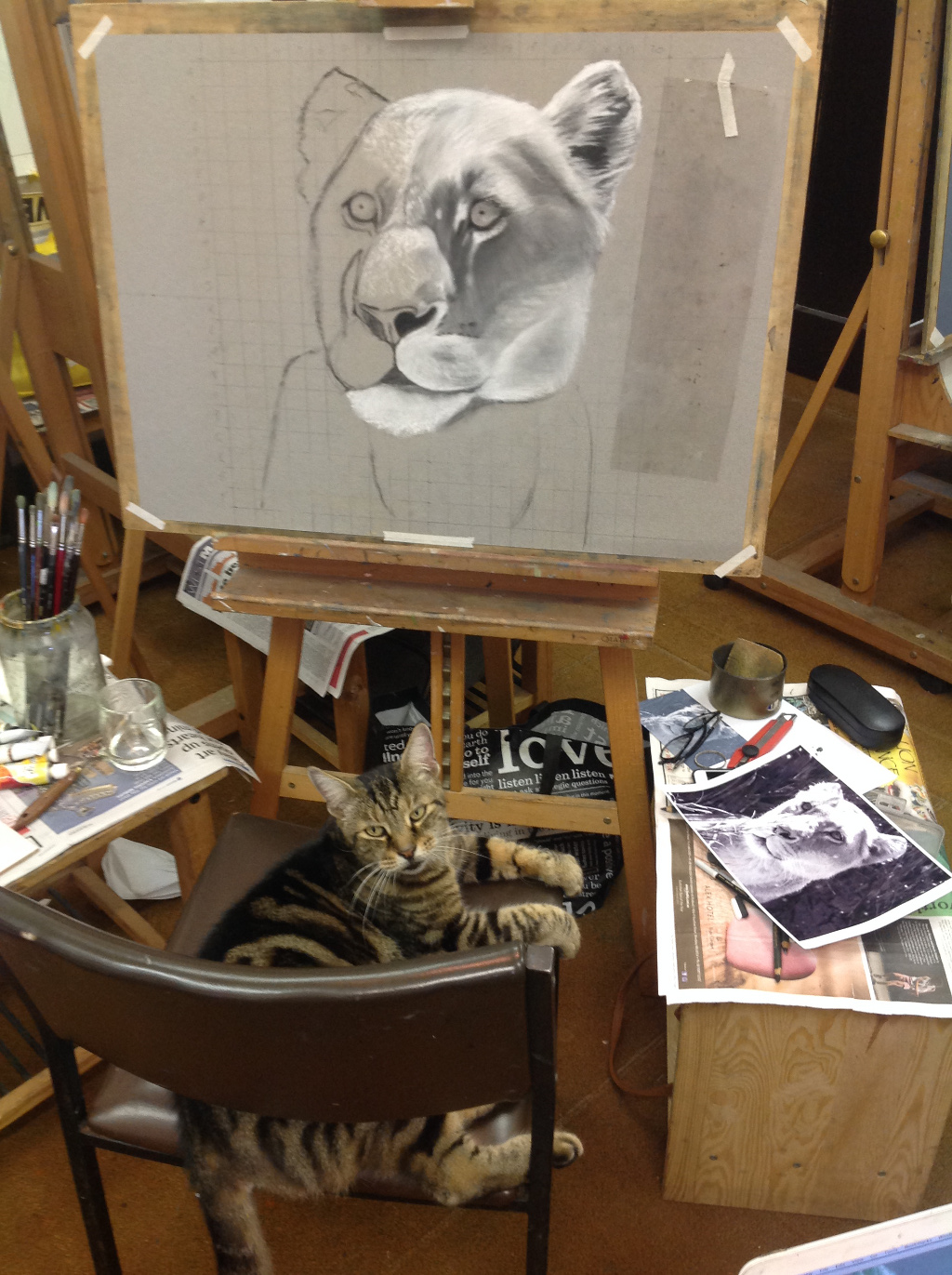 Perth Art Group - Art Classes in Perth Western Australia